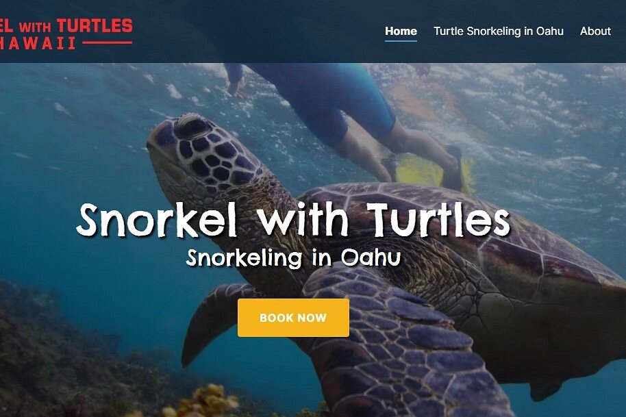 Oahu Turtle Snorkeling - O que saber antes de ir (ATUALIZADO Julho 2024) Oahu Turtle Snorkeling - O que saber antes de ir (ATUALIZADO Julho 2024)