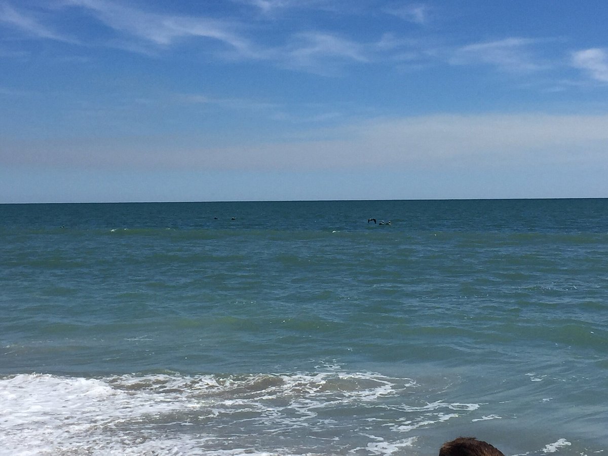Courtyard Myrtle Beach Oceanfront Updated 2025 Prices Reviews And Photos