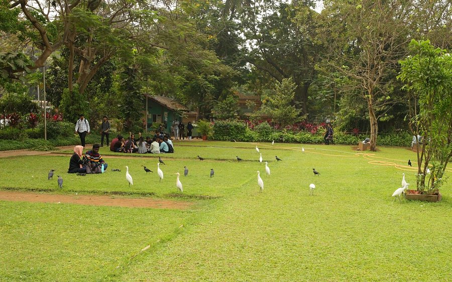 Cross Maidan Garden (2025) - All You Need to Know BEFORE You Go (with ... Cross Maidan Garden (2025) - All You Need to Know BEFORE You Go (with ...