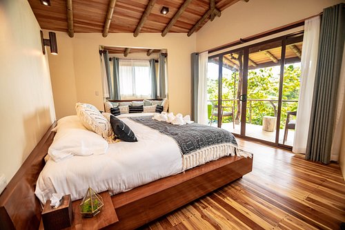 Selva Armonia Immersive Jungle Resort Opiniones Y Precios