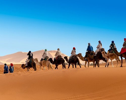 Morocco Tour Adventure (Marrakech): Address, - Tripadvisor Morocco Tour Adventure (Marrakech): Address, - Tripadvisor