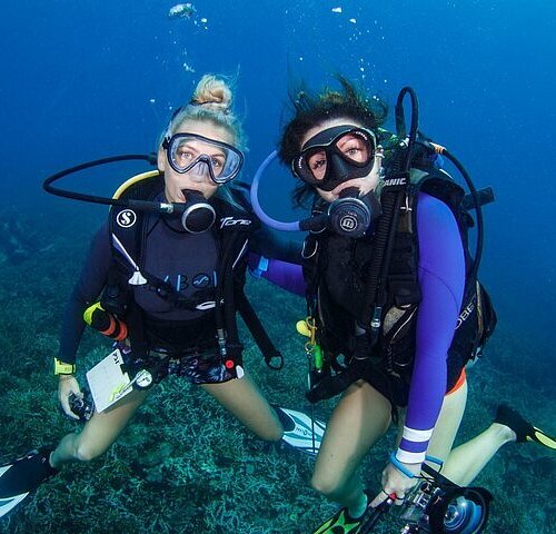 The 10 Best Things To Do In Pulau Tioman Tripadvisor