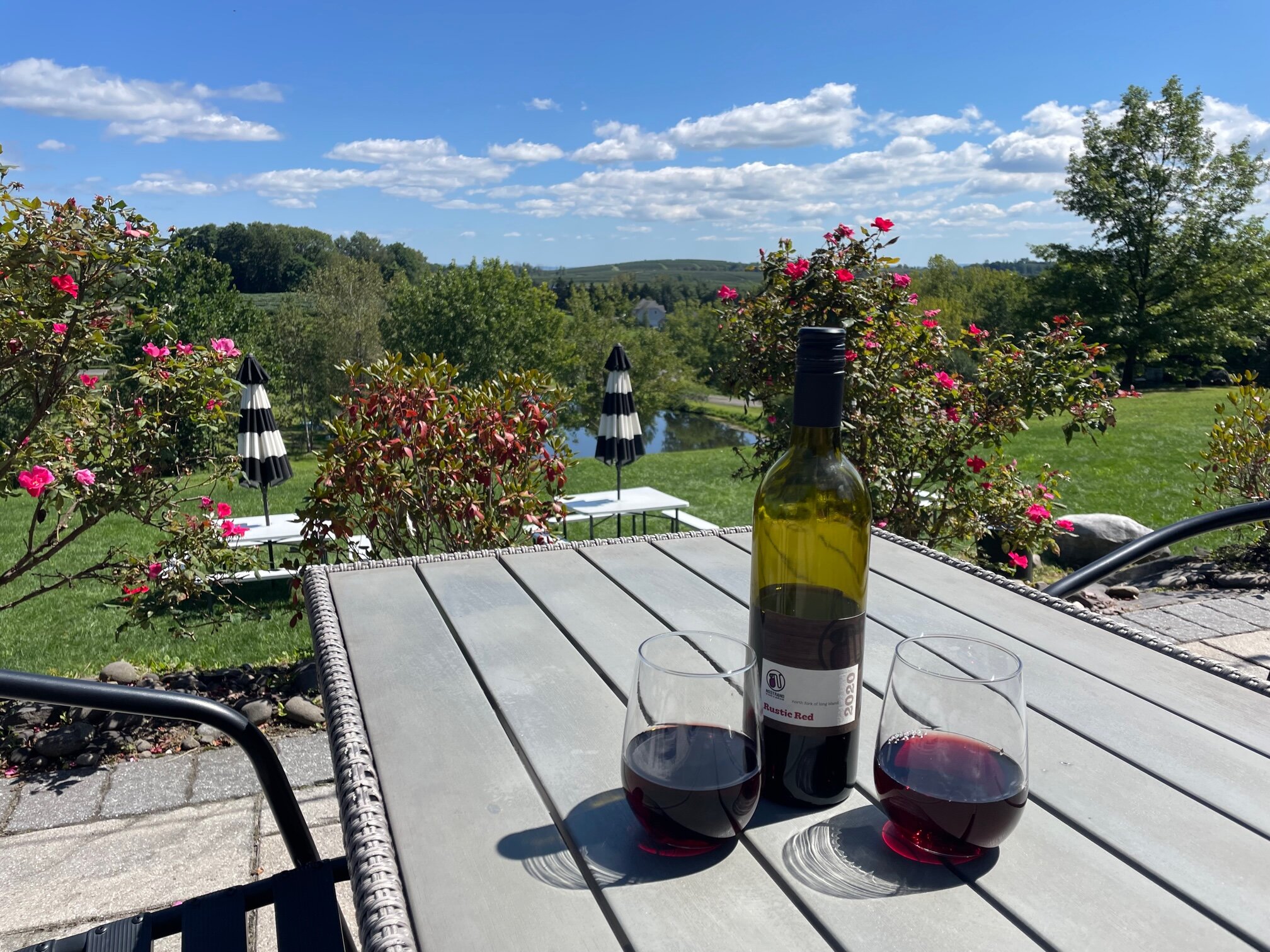THE 15 BEST Catskill Region Wineries Vineyards to Visit 2025