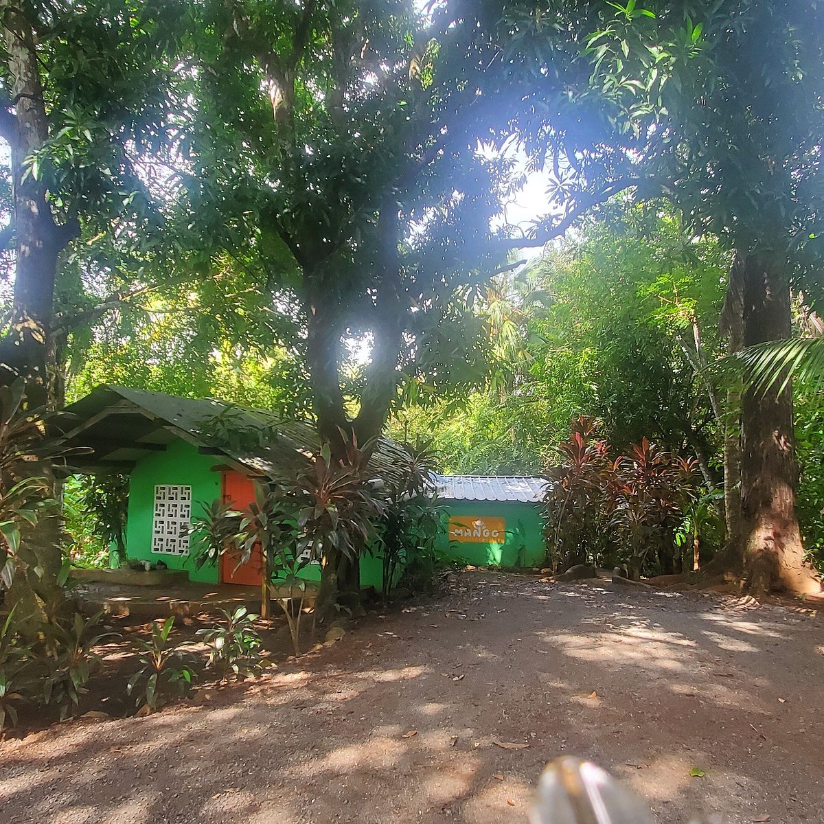 2025年 Mango Academy 出発前に知っておくべきことすべて トリップアドバイザー