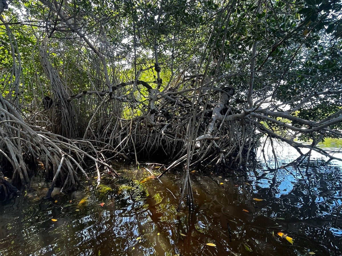 Guía De Naturaleza Uriel Massa All You Need To Know Before You Go 2025