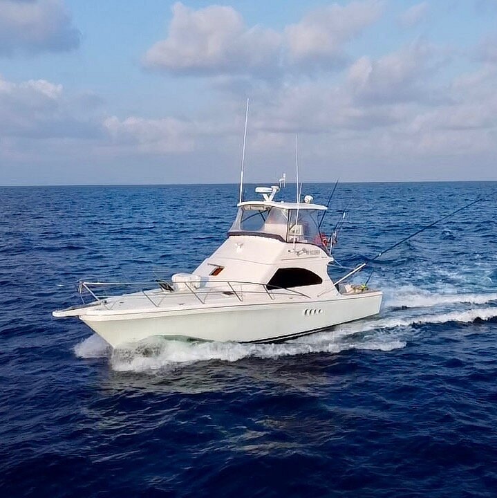 ALL THE GEAR NO IDEA SPORTFISHING (Exmouth): Ce qu'il faut savoir pour ... ALL THE GEAR NO IDEA SPORTFISHING (Exmouth): Ce qu'il faut savoir pour ...