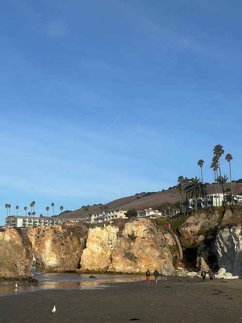 Seacrest Oceanfront Hotel 156 ̶3̶8̶4̶ Updated 2023 Prices