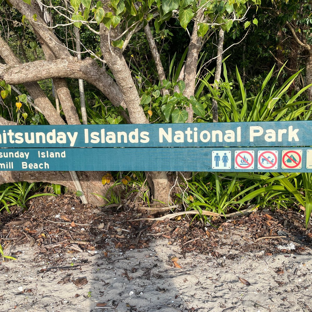 Sawmill Beach All You Must Know Before You Go 2024