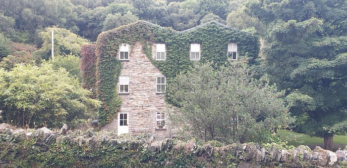 CLOONA HEALTH RETREAT - Updated 2024 Specialty Inn Reviews (Westport ... CLOONA HEALTH RETREAT - Updated 2024 Specialty Inn Reviews (Westport ...