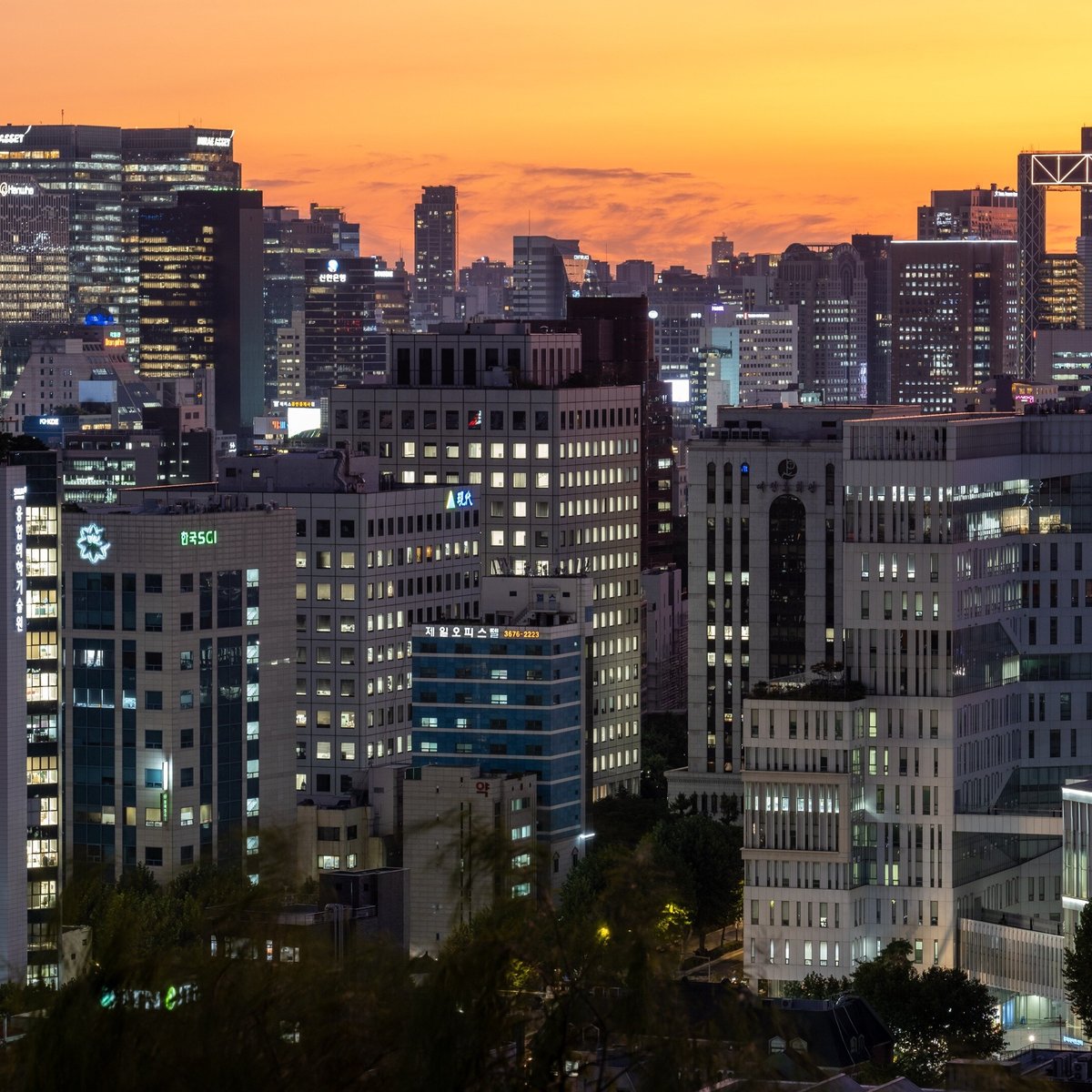 2025年 Seoul Daily Chauffeur 出発前に知っておくべきことすべて トリップアドバイザー