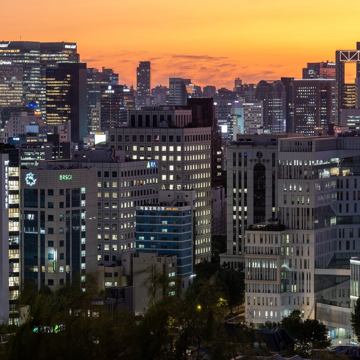 2025年 Seoul Daily Chauffeur 出発前に知っておくべきことすべて トリップアドバイザー