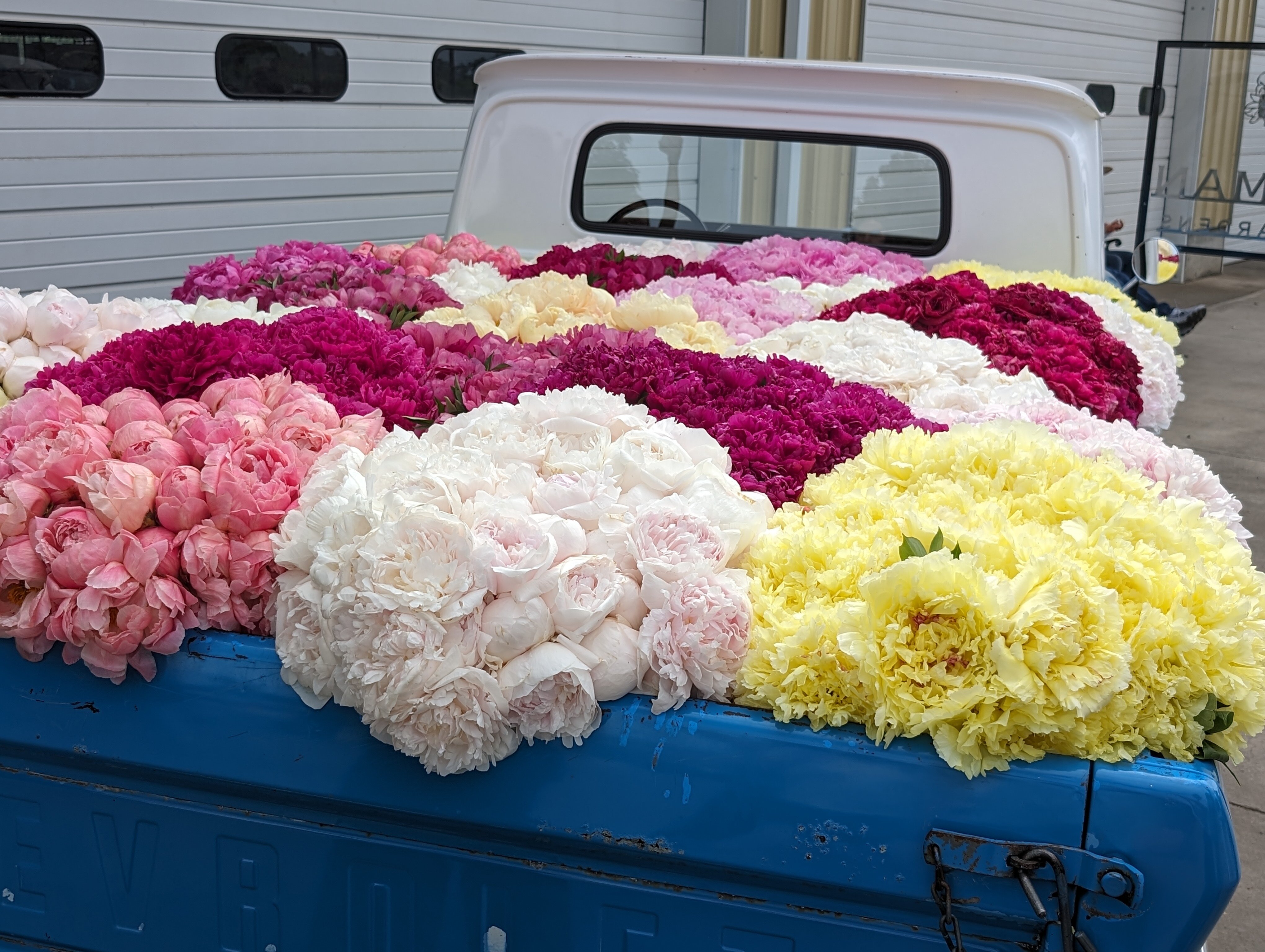 Adelman's peonies store