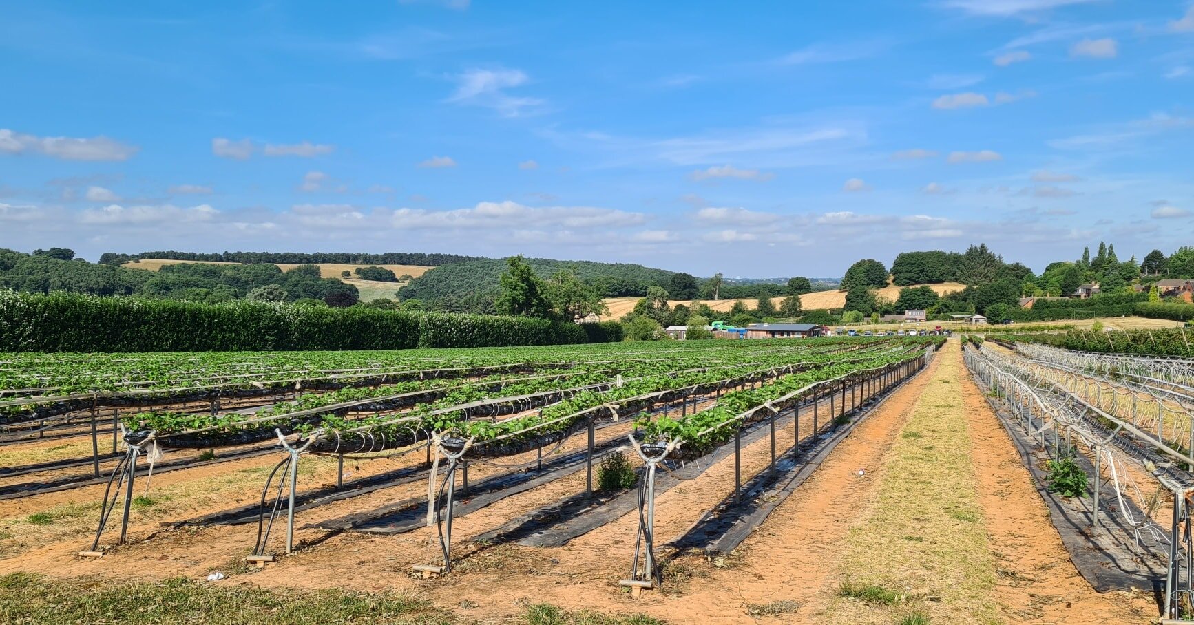 MANOR FARM FRUITS 2025 All You Need to Know BEFORE You Go with Reviews